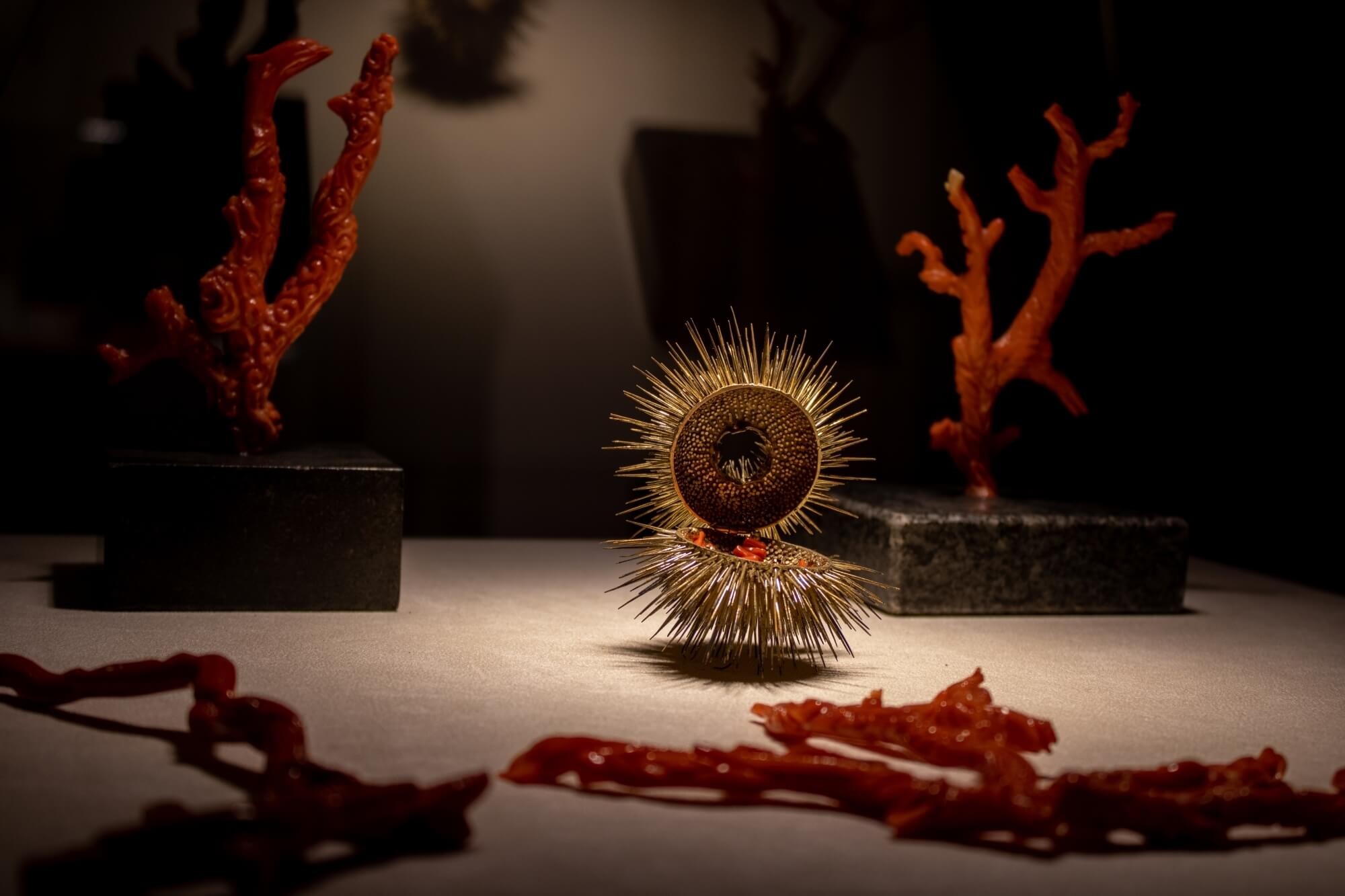 MACOR - Museo del Corallo | Alghero Experience